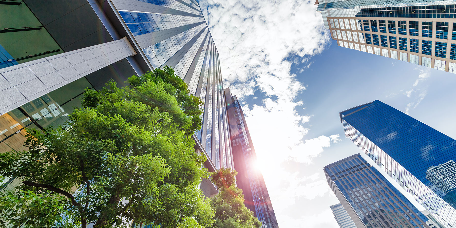 Partnerships - 4C Group